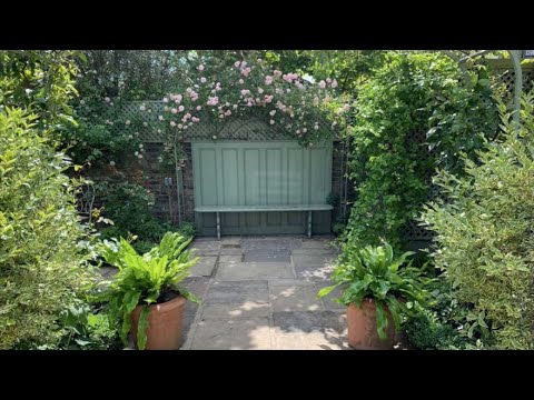 The Victorian Courtyard Garden | FiSH Open Gardens
